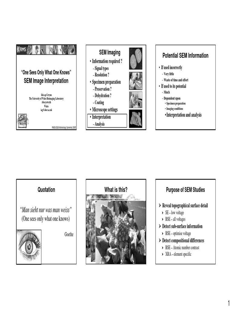 Print-Interpretation of SEM Images | PDF | Scanning Electron Microscope ...