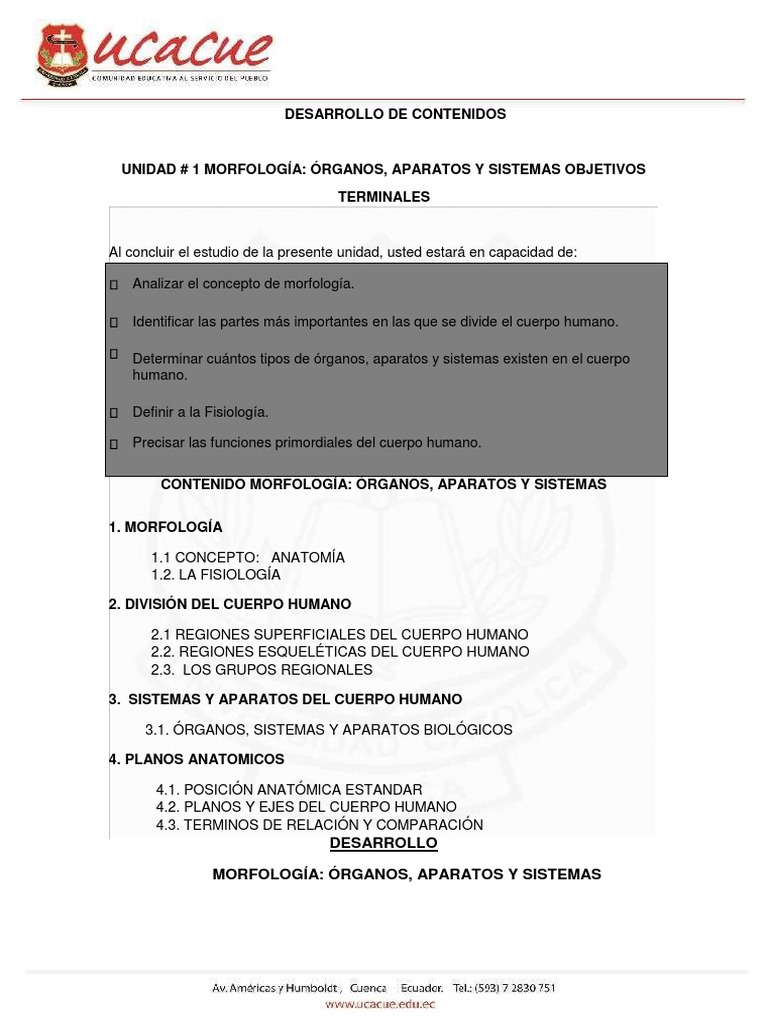 Modulo De Anatomia Universidad Catolica De Cuenca Pdf Sistema