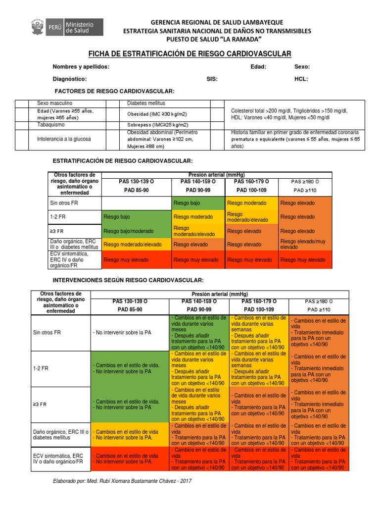 Ficha de Estratificación de Riesgo Cardiovascular | PDF | Obesidad ...