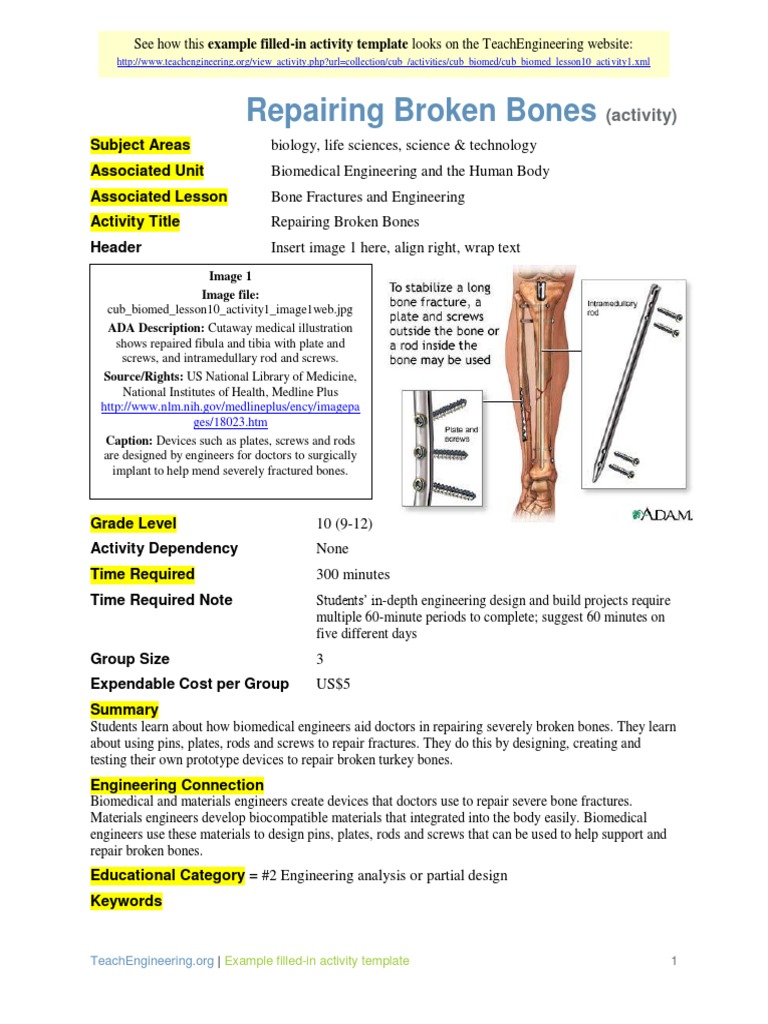 ActivityExample Biomed | PDF | Biomedical Engineering | Bone