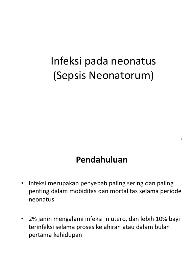13 Infeksi Pada Neonatus | PDF