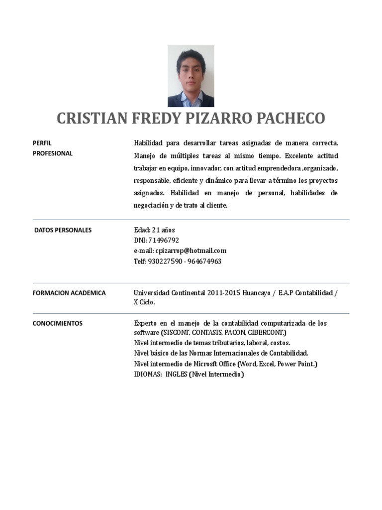 CV Cristian | PDF | Contador | Software