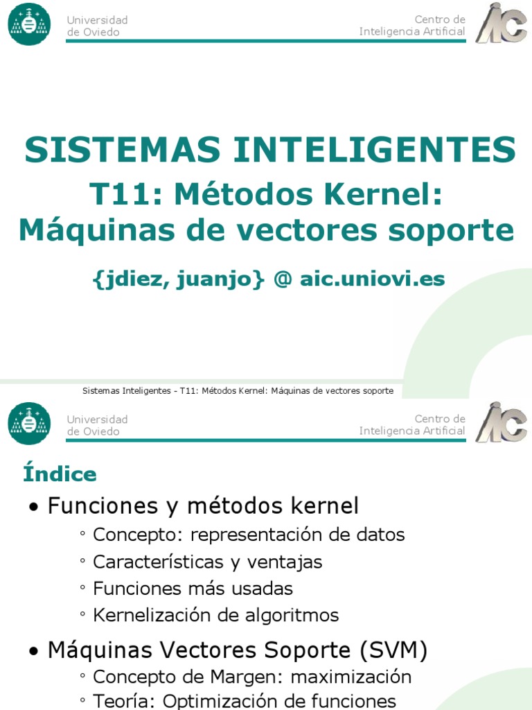 Metodos Kernel | PDF | Máquinas de vectores soporte | Optimización ...