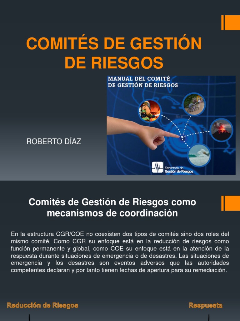 Comité de Gestión de Riesgos | PDF | Gobierno | Política (general)