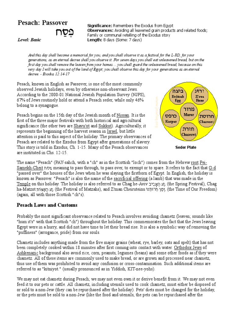 Pesach: Passover: Level: Basic | Download Free PDF | Passover ...