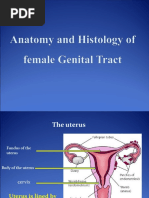 Human Reproductive System Cut and Stick | PDF | Reproductive System ...