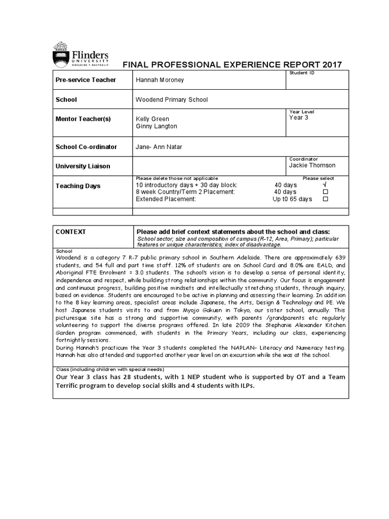 Final Placement Report: Hannah Moroney | PDF | Teachers | Educational ...