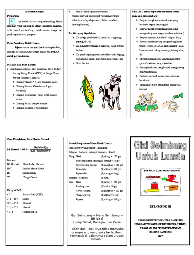 Menu Seimbang untuk Kesehatan Lansia | PDF