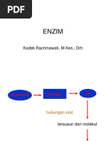 Kegunaan dan Manfaat Benoson N Cream | PDF
