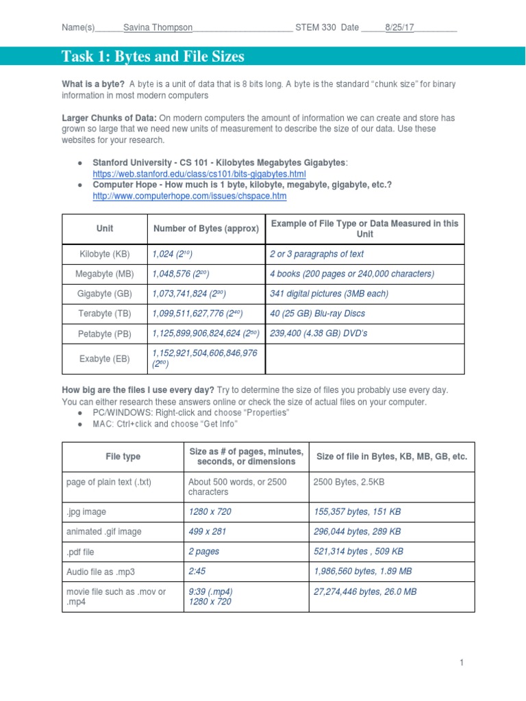 Task 1 Bytes and File Sizes | PDF | Computer File | Digital Technology
