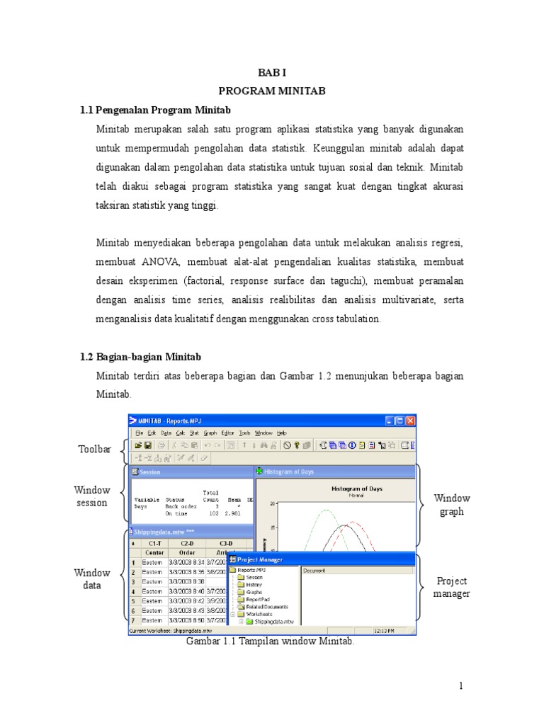 Makalah Minitab | PDF | Komputer
