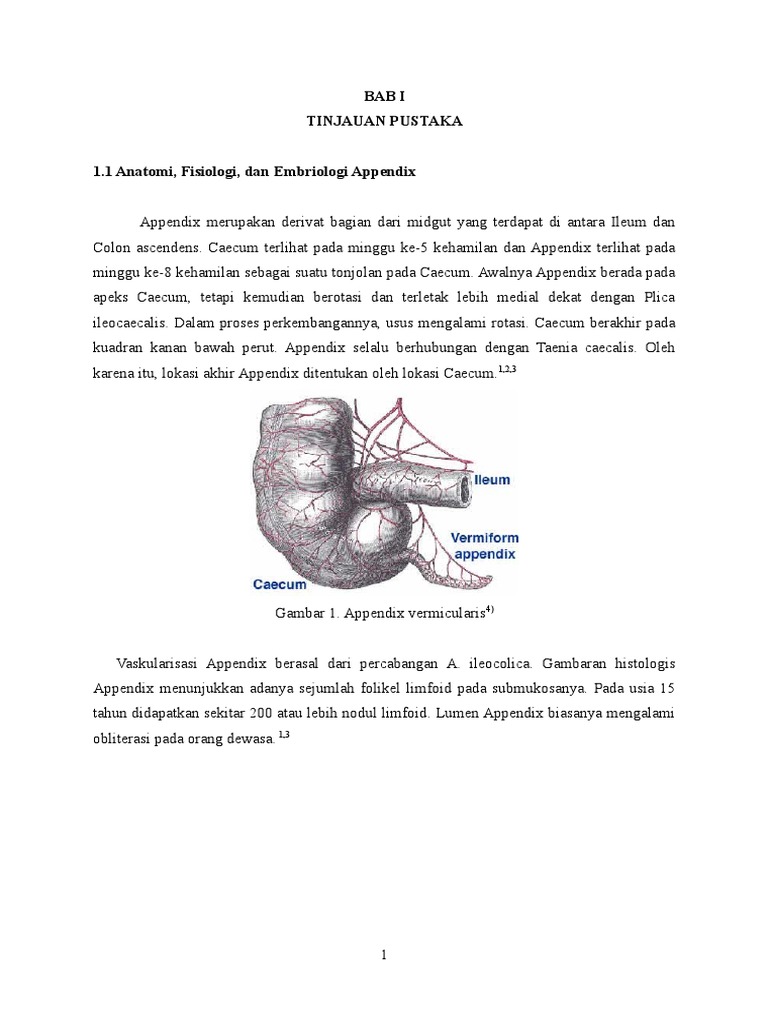 Peritonitis Difus Ec Appendisitis Perforasi | PDF | Sains & Matematika