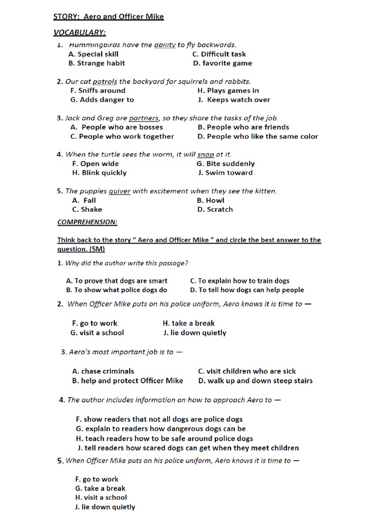 Aero and Officer Mike Pratice Test | PDF