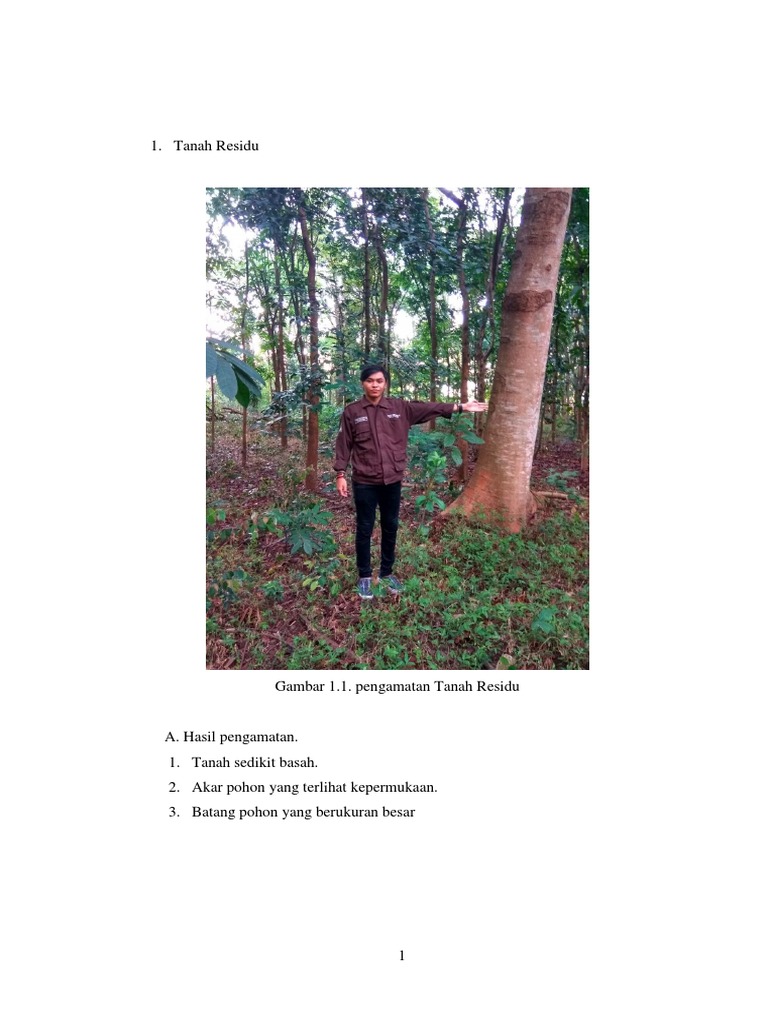 Hasil Pengamatan Jenis Jenis Tanah | PDF | Ilmu Sosial | Griya & Taman