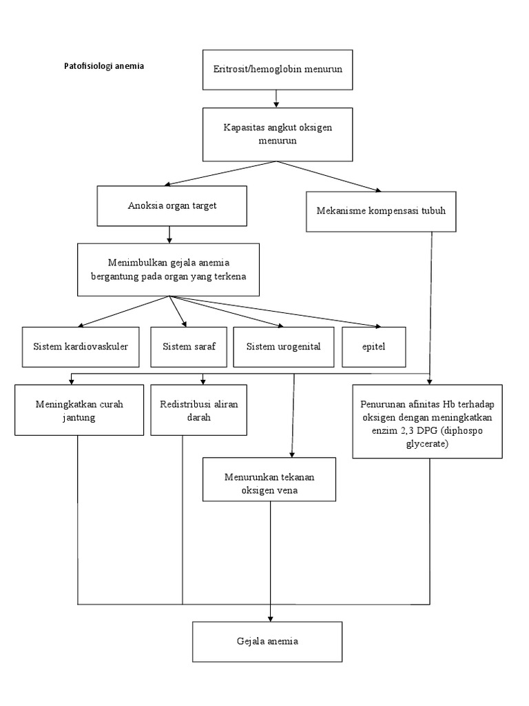 Patofisiologi Anemia | PDF