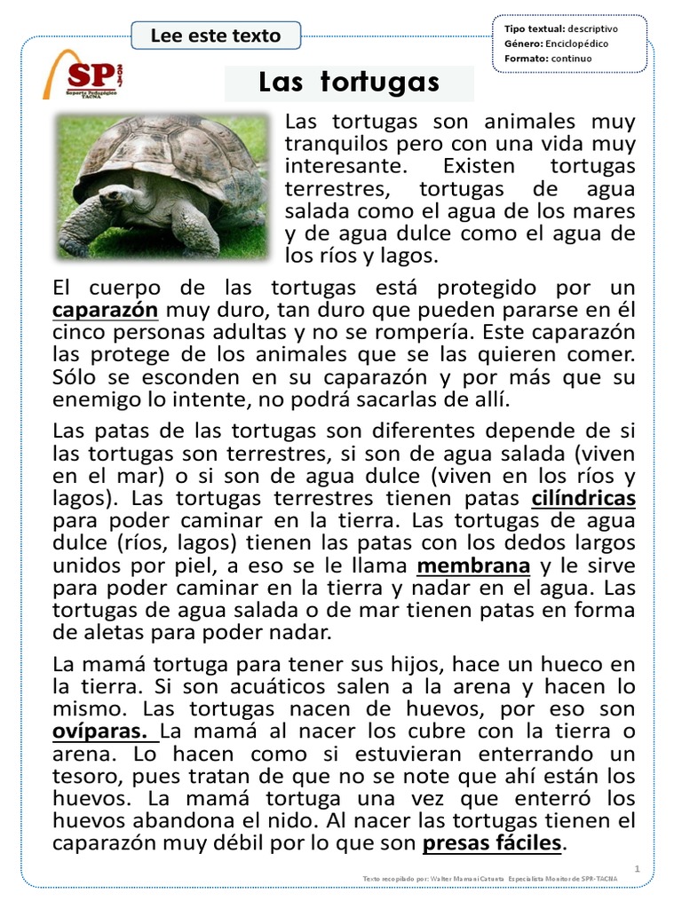 2 Lectura Las Tortugas Idea Principal | PDF