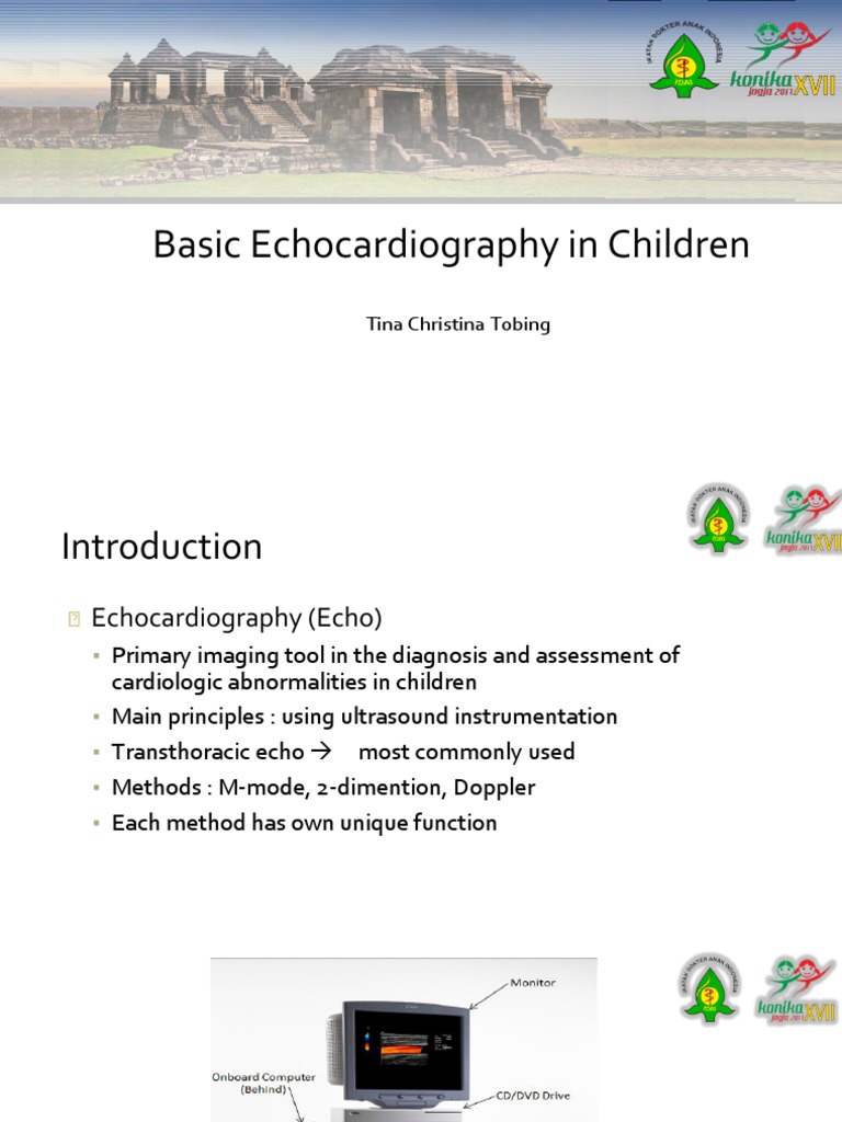 Basic Echocardiography in Children | PDF | Medical Ultrasound ...