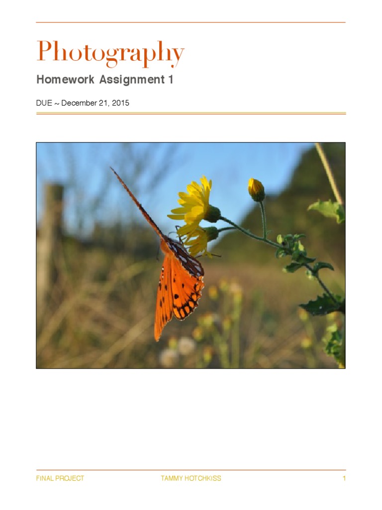 Photography: Homework Assignment 1 | PDF