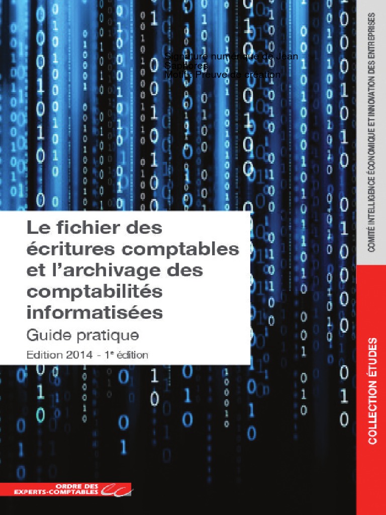 Guide Pratique Fichier Des Écritures Comptables FEC Et Contrôle de ...
