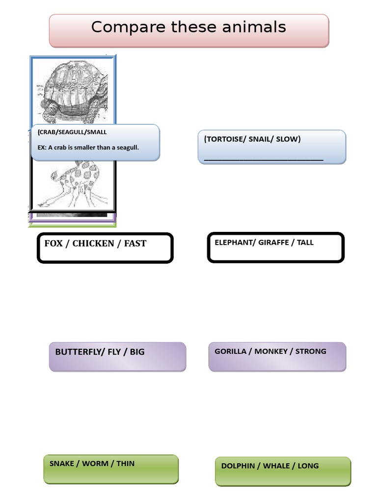 Comparison | PDF
