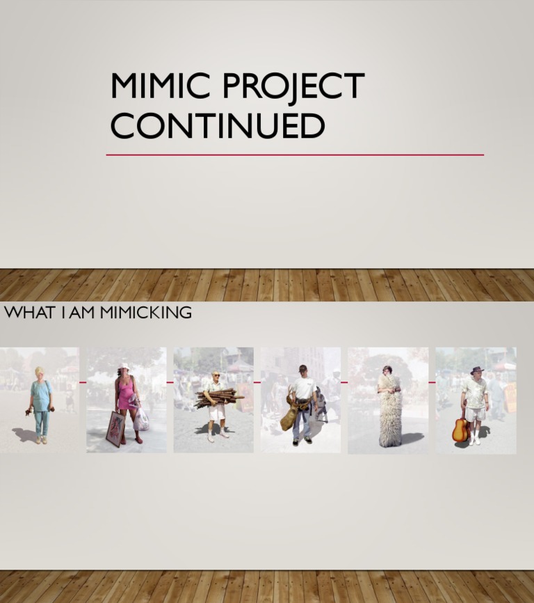 MIMIC Project Overview and Details | PDF