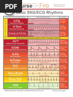 CBC and BMP Fishbone Template | PDF
