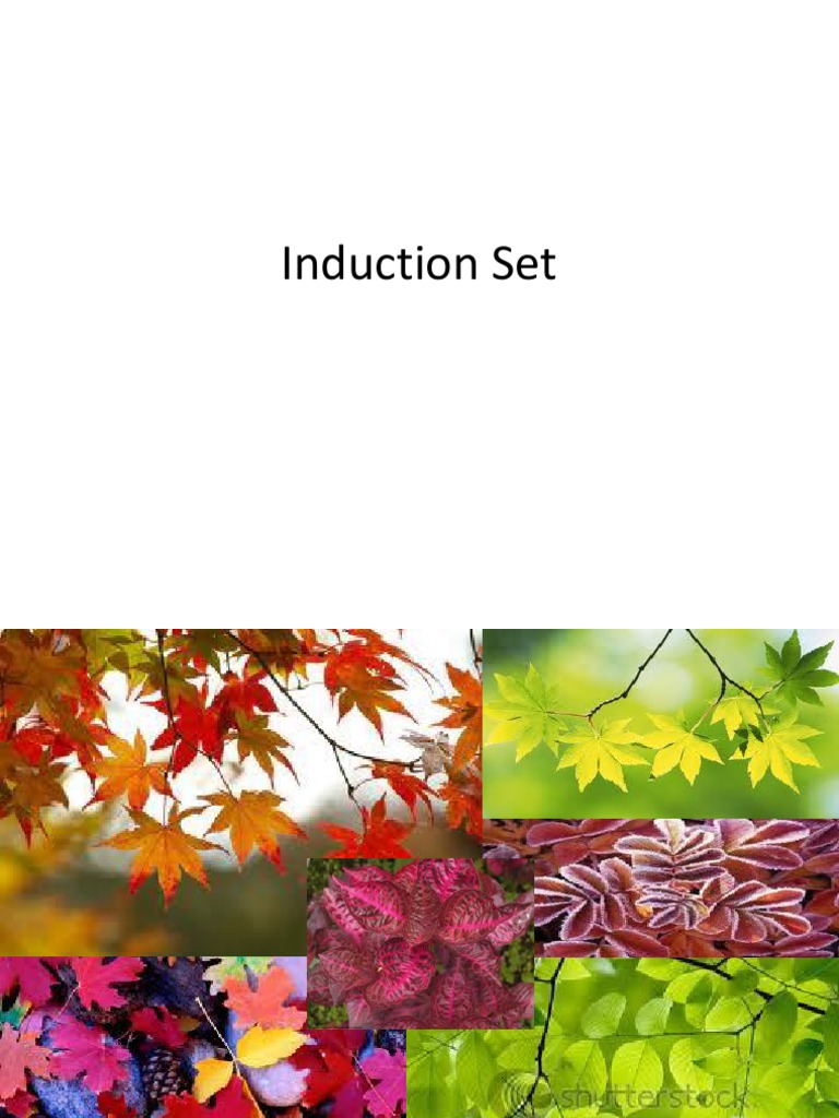 Number Patterns and Sequences - Slide | PDF | Prime Number | Elementary ...