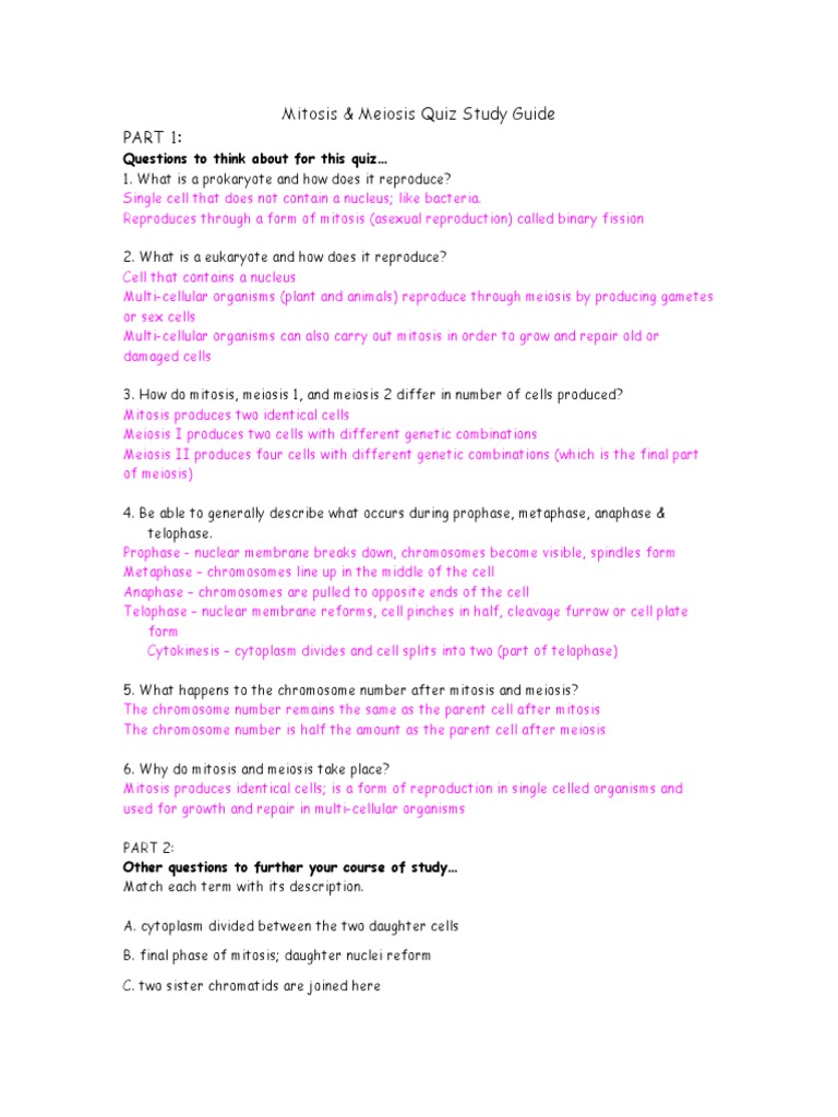 Mitosis Meiosis Study Guide 2 Answers | PDF | Meiosis | Mitosis