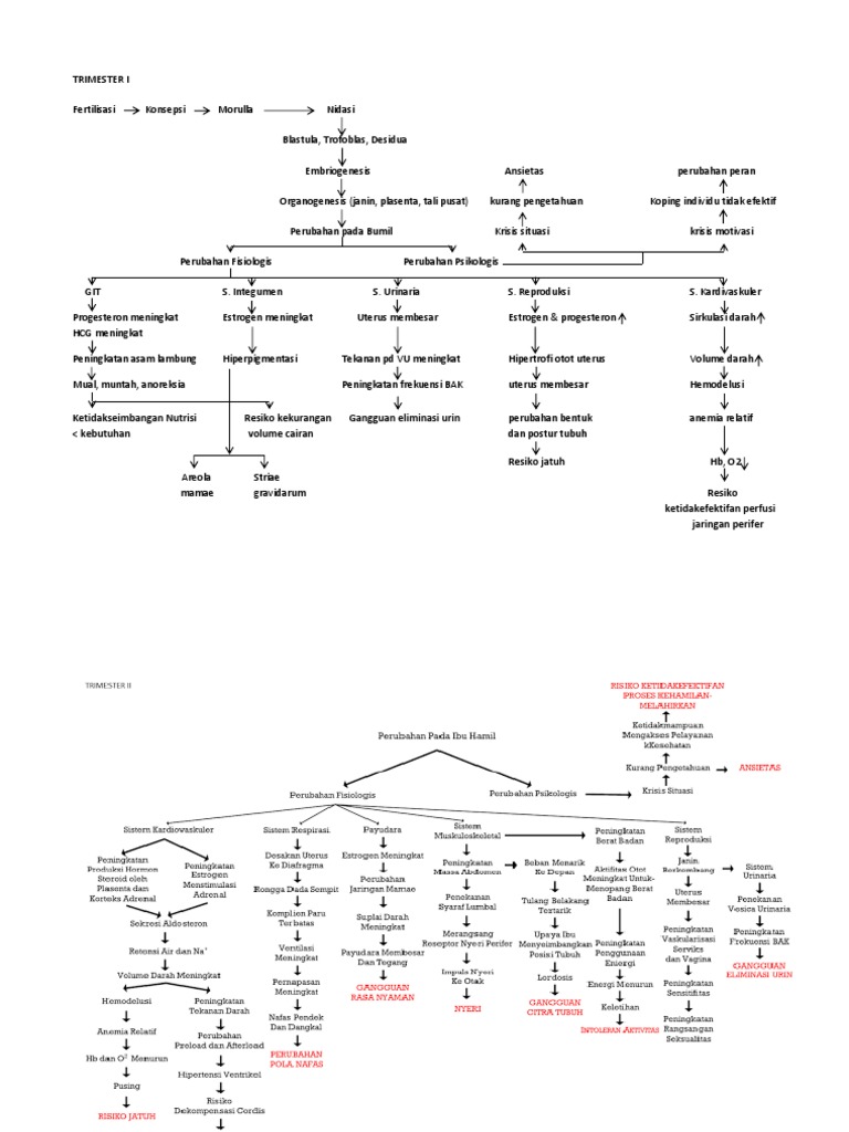 Pathway Kehamilan | PDF