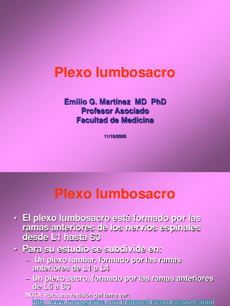 Anatomía del Plexo Lumbosacro | PDF | Dedo del pie | Anatomía del miembro inferior