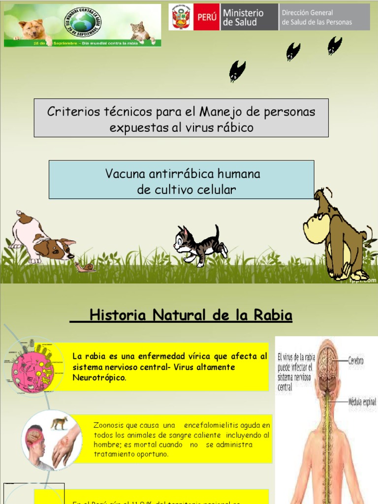 Rabia Presentacion | Rabia | Enfermedades y trastornos | Prueba gratuita de 30 días | Scribd