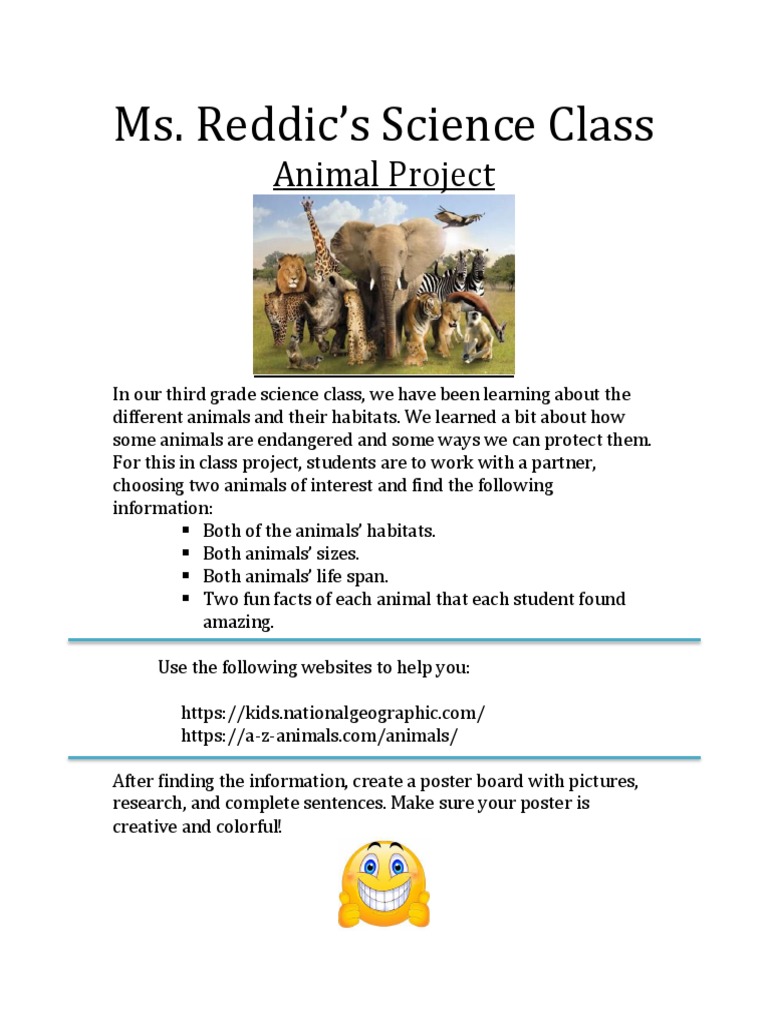 Animal Project | PDF | Science Education | Learning