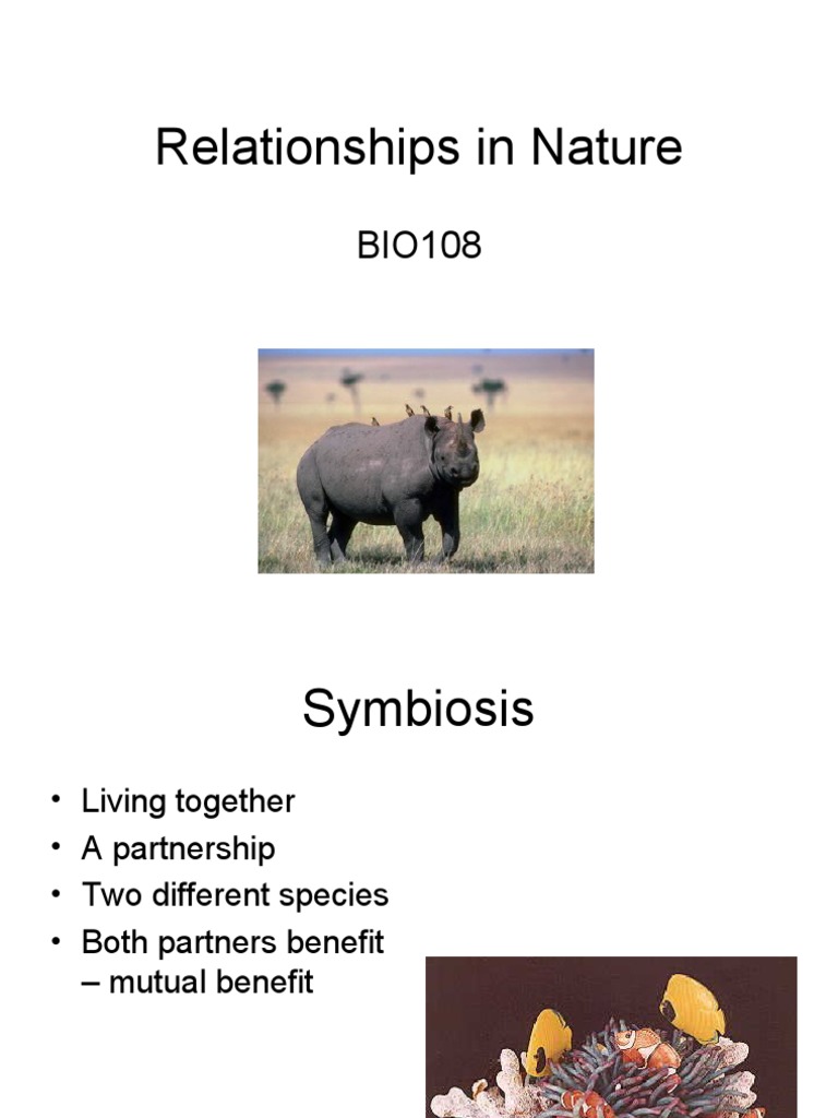 Relationships in Nature | PDF