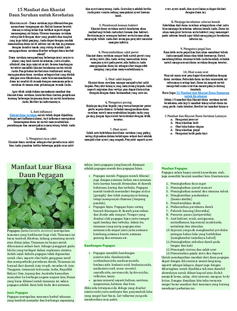 15 Manfaat Dan Khasiat Daun Suruhan Untuk Kesehatan | PDF