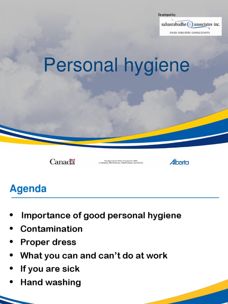 Personal Hygiene PP | PDF