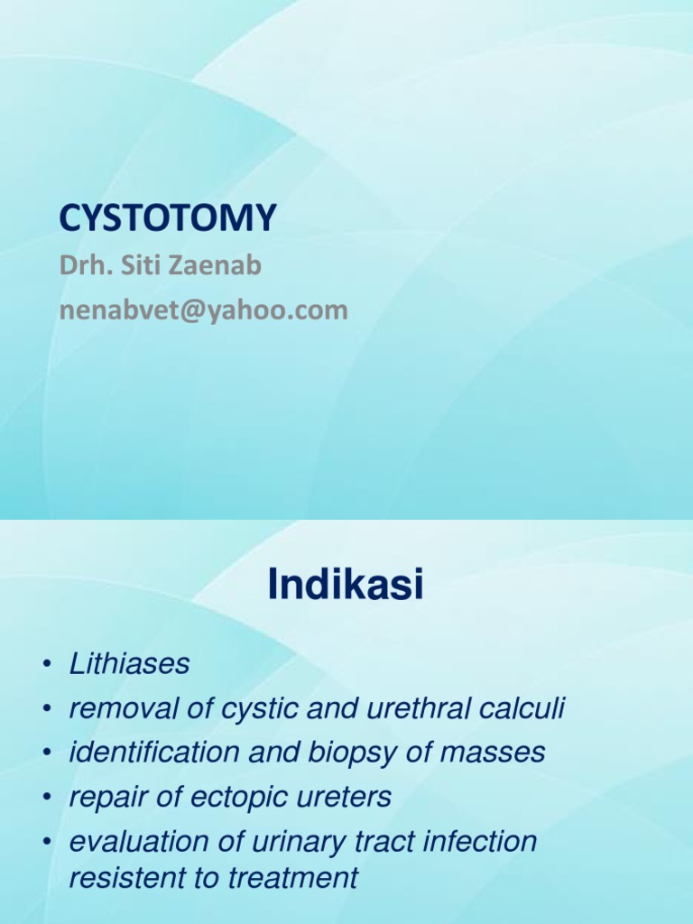 02 Cystotomy | PDF | Urology | Medical Specialties