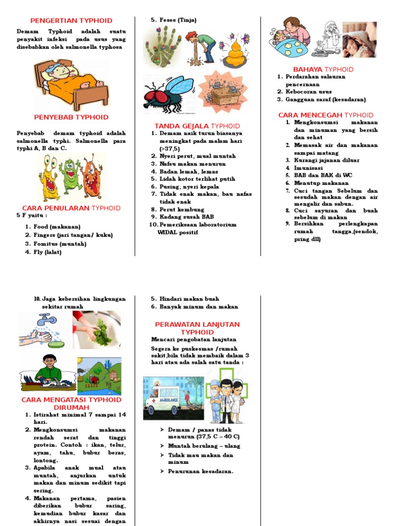 Leaflet Thypoid | PDF