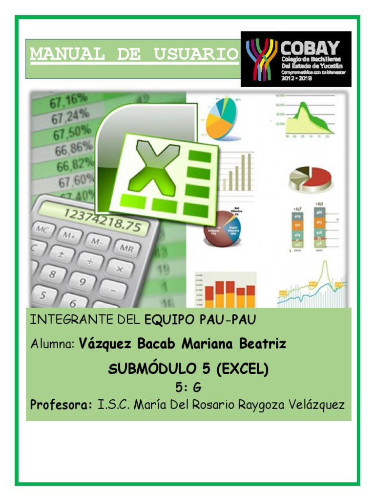 Manual de Usuario | PDF | Microsoft Excel | Tabla (base de datos)