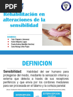 PALESTESIA Definicion y Exploración | PDF | Mano | Sistema ...