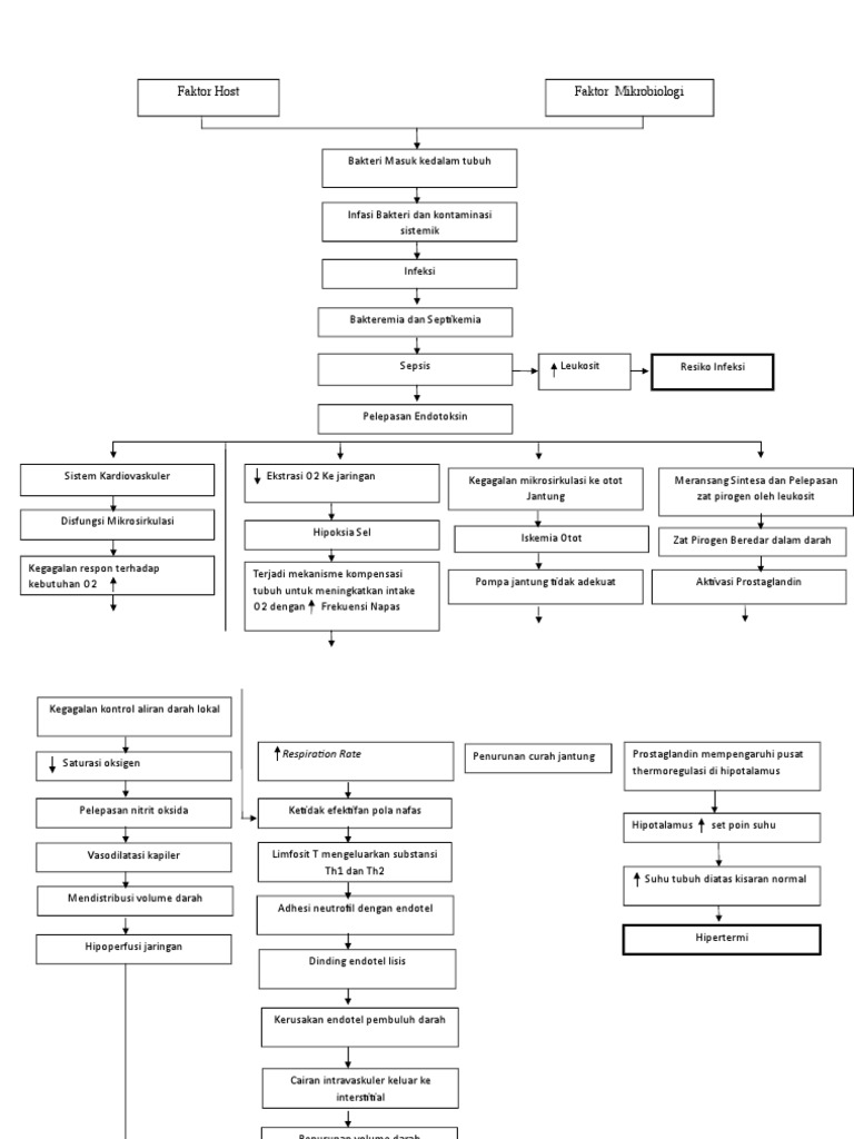 Pathway Sepsis | PDF
