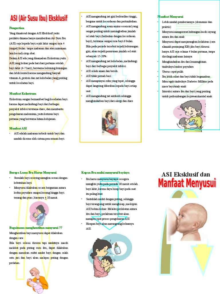 Leaflet Asi Dan Menyusui | PDF