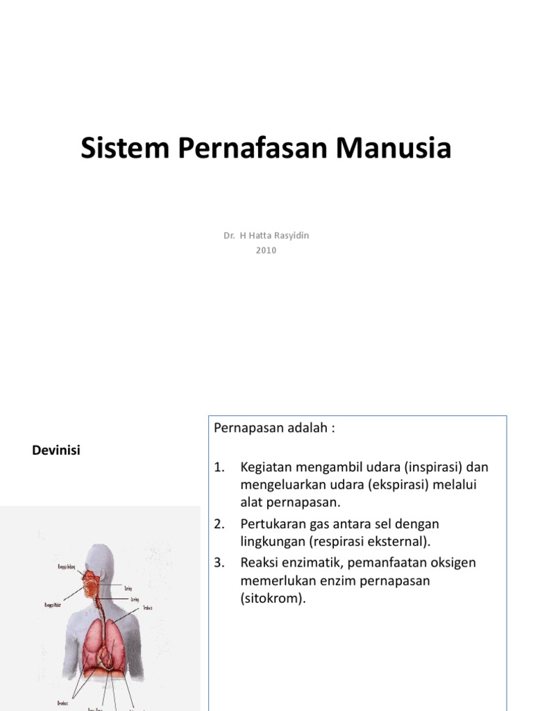 Sistem Pernafasan Manusia | PDF