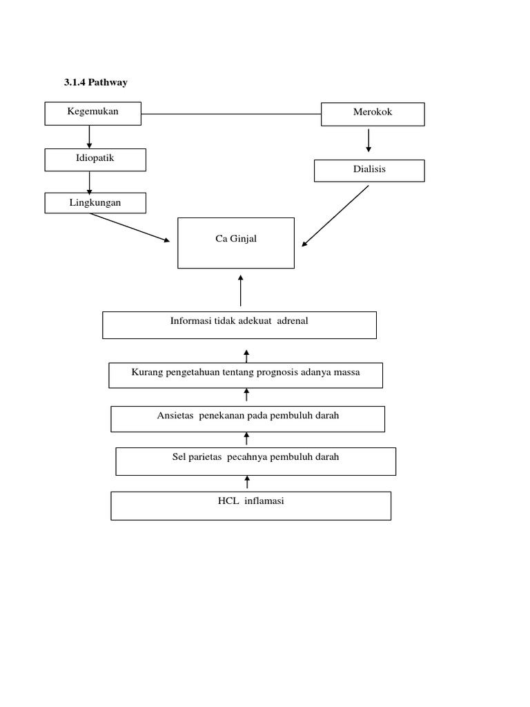 Pathway Kanker Ginjal dan Gagal Ginjal | PDF