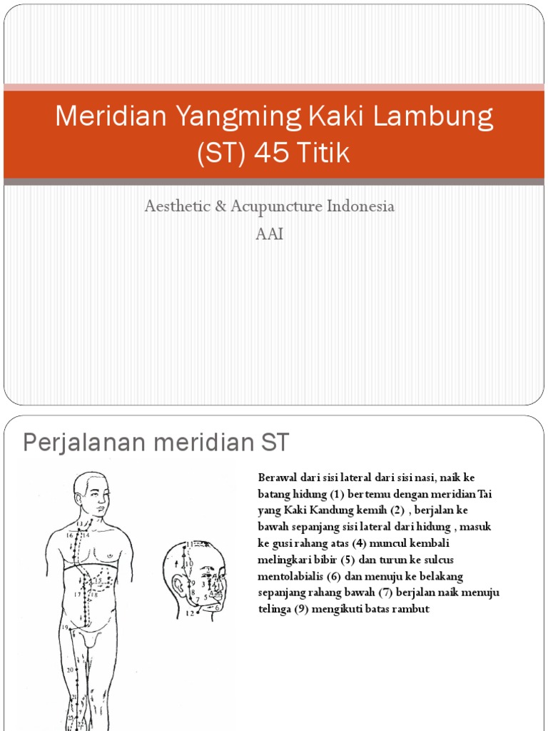 MEridian Yangming Kaki Lambung New | PDF | Ilmu Sosial