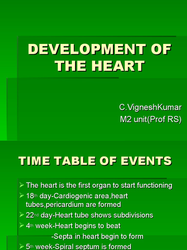 Development of Heart | PDF | Heart Valve | Atrium (Heart)