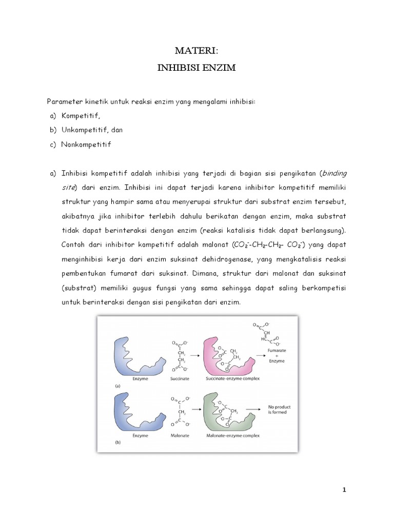 Inhibisi Enzim | PDF