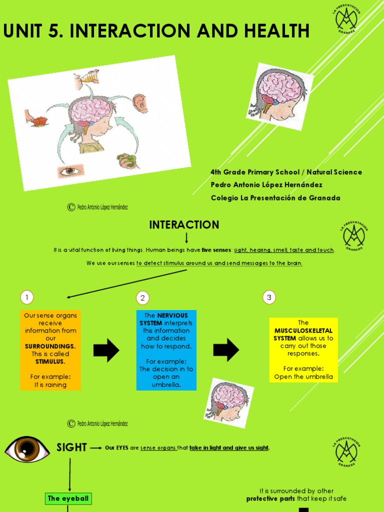 Unit 5. Interaction and Health | PDF | Ear | Senses