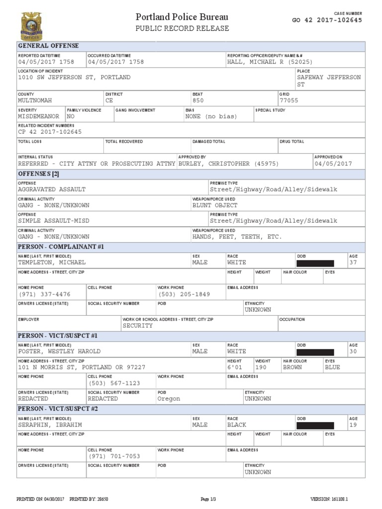 Police Report PDF | PDF | Crime & Violence | Crime Thriller