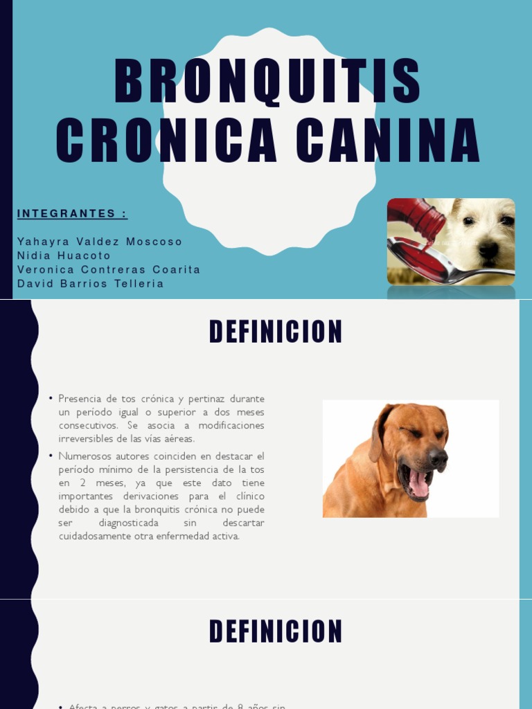 Bronquitis Cronica Canina | PDF | Enfermedades y trastornos ...
