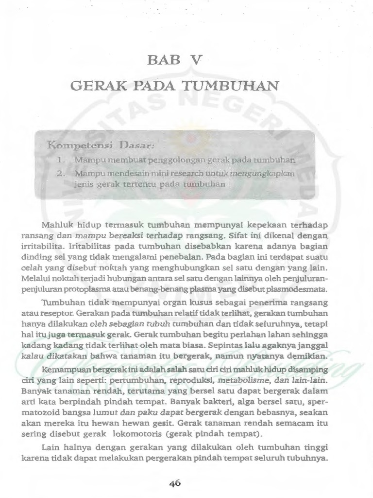 Fototropisme: Gerak Tumbuhan Menuju Cahaya | PDF
